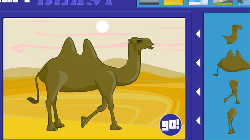 Build an Animal - Horse-Games.org