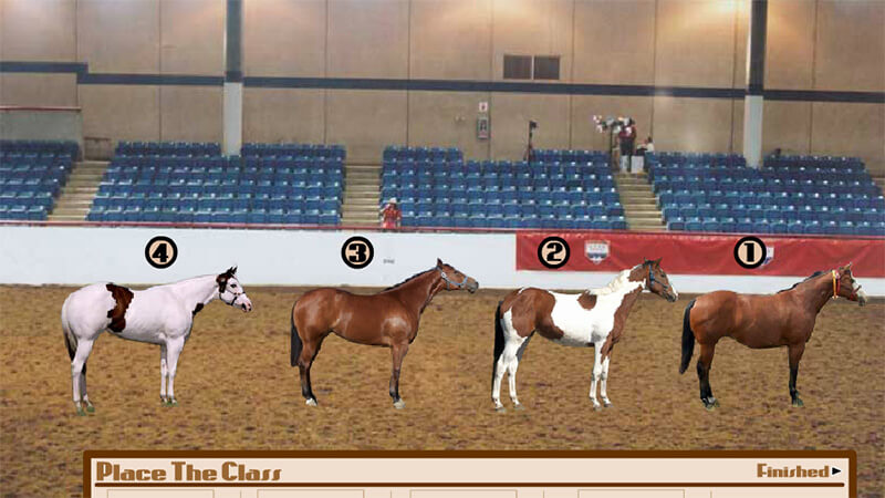 Horse Judging - Play Free Horse Judging Game at Horse-Games.org